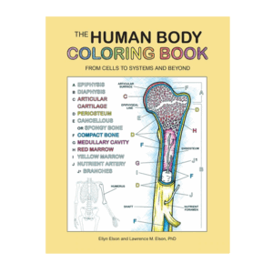 Human Evolution Coloring Book (2nd Edition) - Coloring Concepts, Inc.