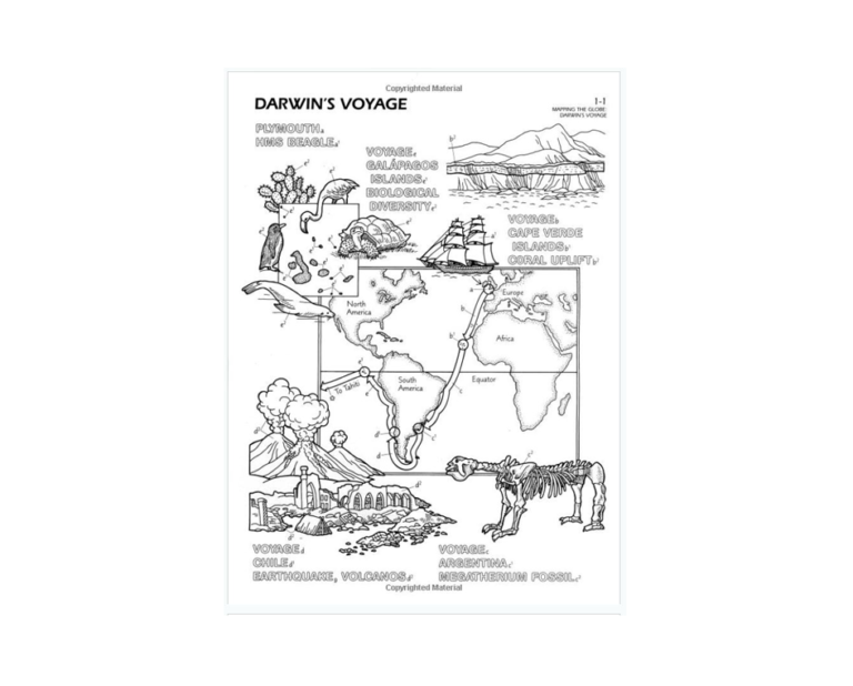 Human Evolution Coloring Book (2nd Edition) - Coloring Concepts, Inc.