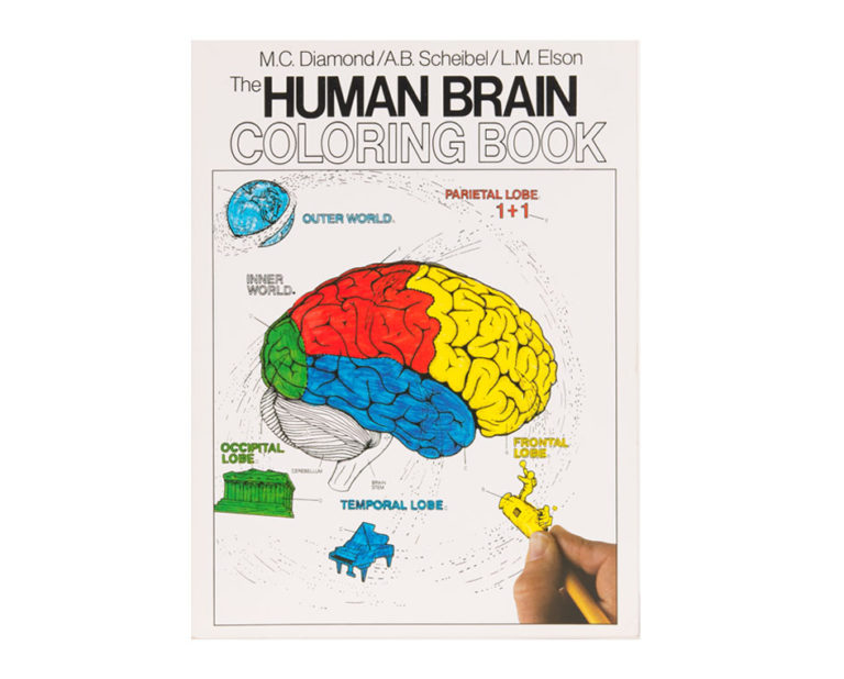 Human Brain Coloring Book - Coloring Concepts, Inc.